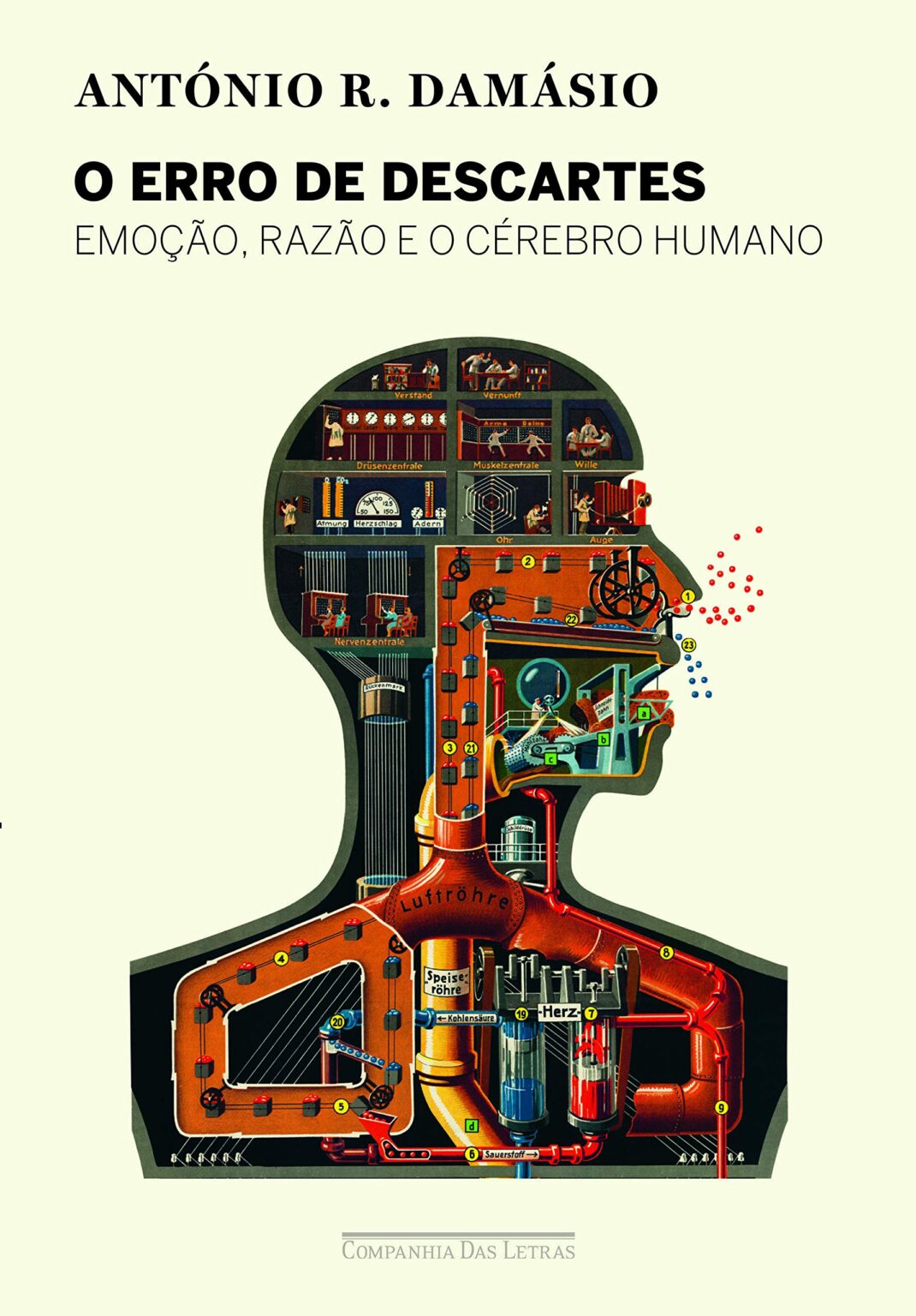 O ERRO De Descartes por António Damásio - Resumos de livros PDF ...
